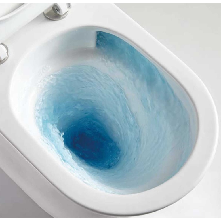 Rimless Toilet Suites | Bathrooms on a Budget