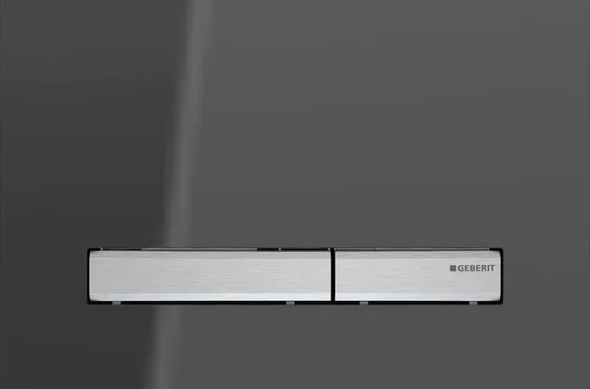 Sigma 50 Dual Flush Smoke Reflective Glass With Brushed Chrome Button ...